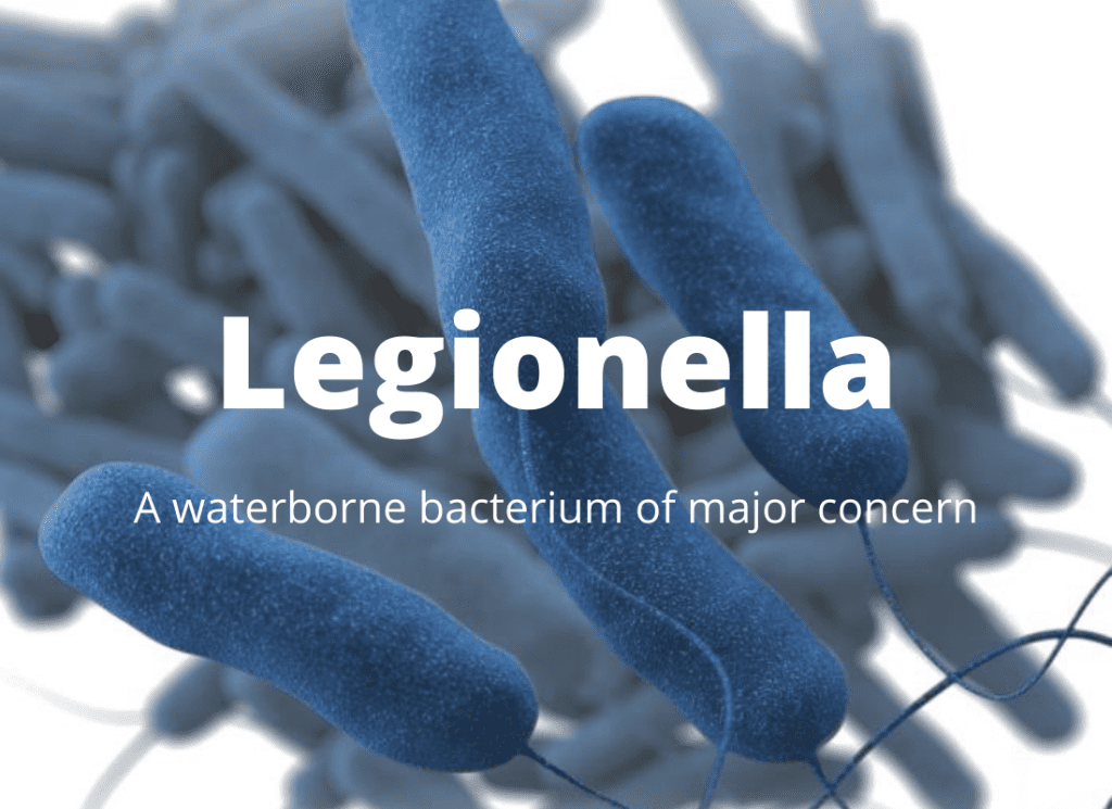 "Legionnaires' Disease: Causes, Symptoms and Prevention" - Fit Life ...